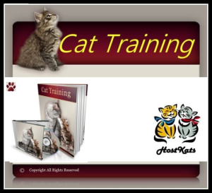 Cat Training! | eBooks