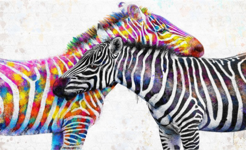 colorful zebra | Photos and Images | Abstract