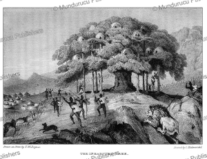 The inhabited tree in Litakou, now Dithakong, a city near modern ...