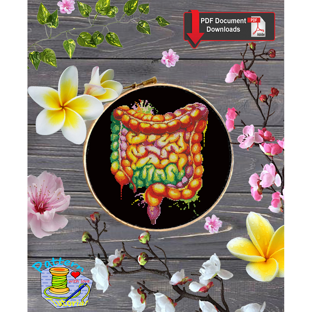 Intestines #123 Anatomy Embroidery Cross Stitch Pattern Instant ...