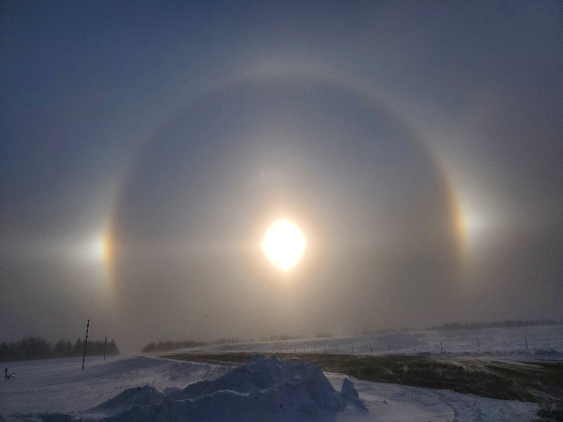 Nature sundogs | Photos and Images | Nature