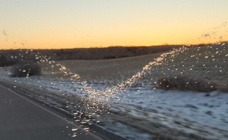 Ice eagle | Photos and Images | Nature