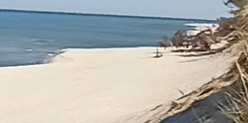 beach plains | Photos and Images | Nature