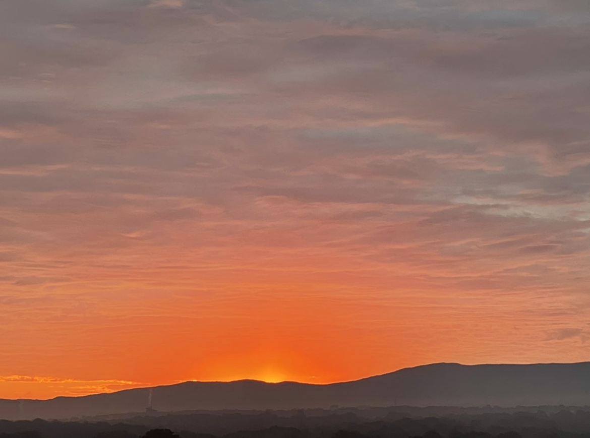 Goodmorning sun | Photos and Images | Nature