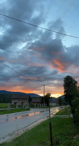 After rain | Photos and Images | Digital Art