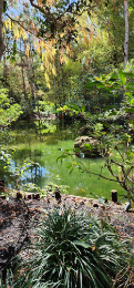 greenforest | Photos and Images | Botanical