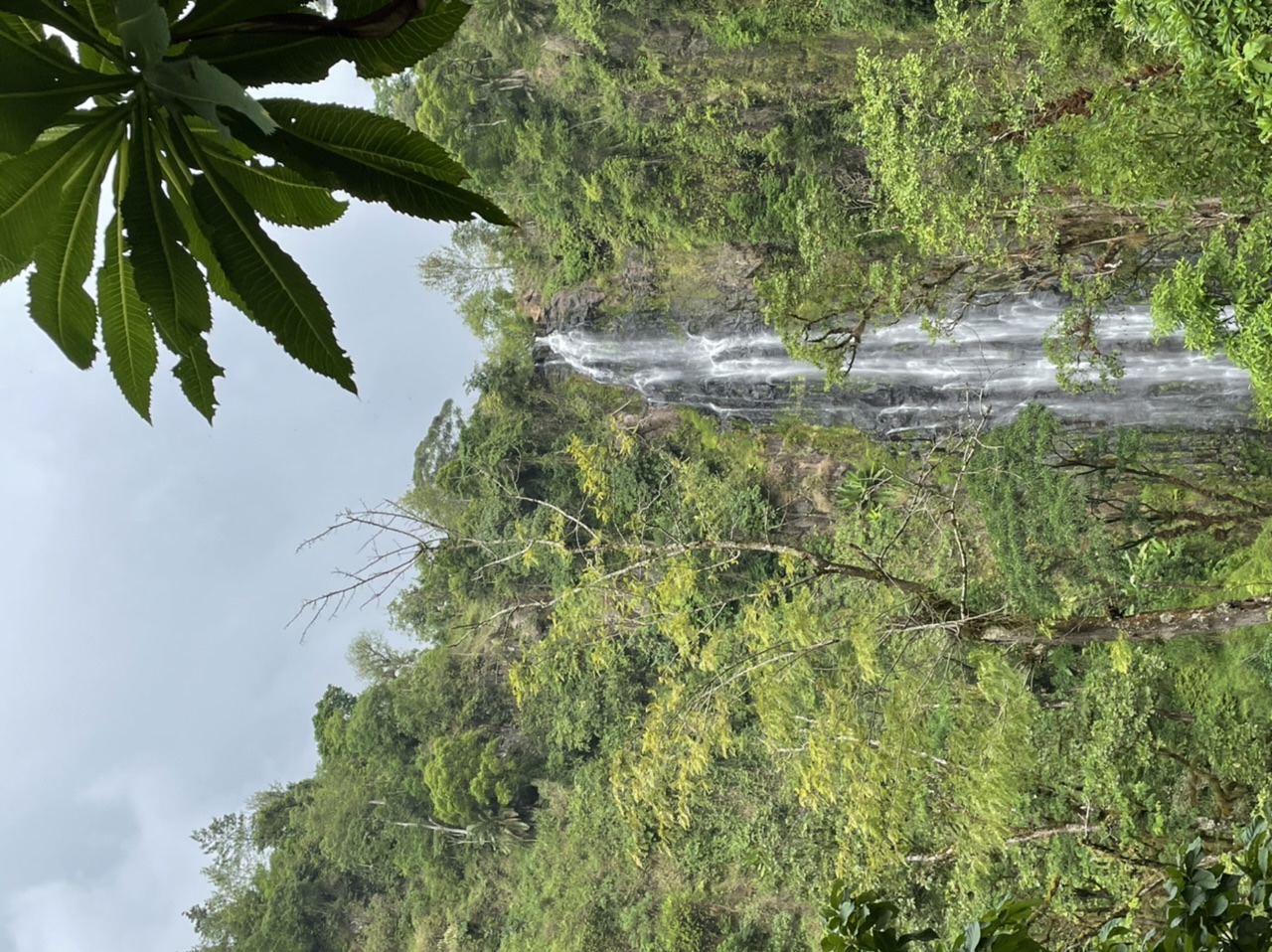 Waterfall Kilimanjaro | Photos and Images | Nature
