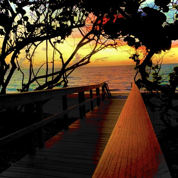 Walk into Paradise | Photos and Images