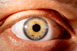 human eye iris photo | Photos and Images | Nature