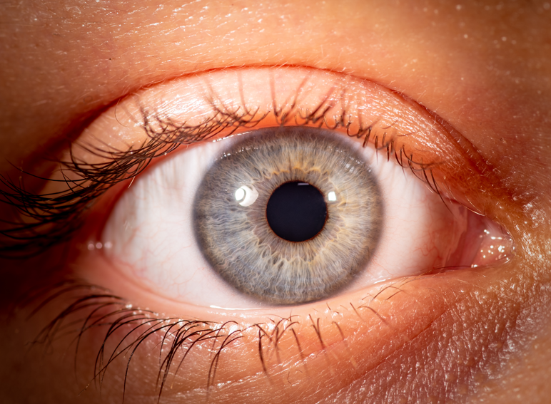 Blue scared eye | Photos and Images | Nature