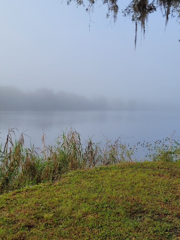 Fog on the River | Photos and Images | Nature