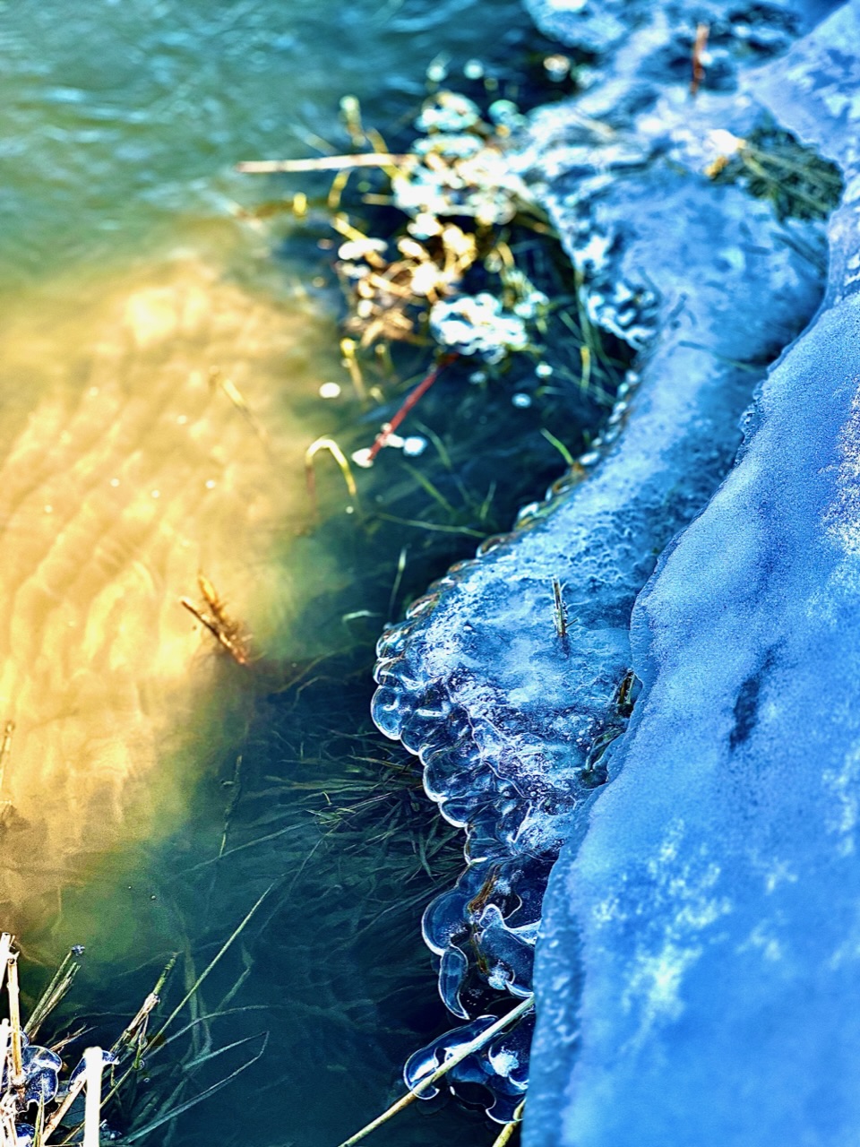 Calming visual | Photos and Images | Nature