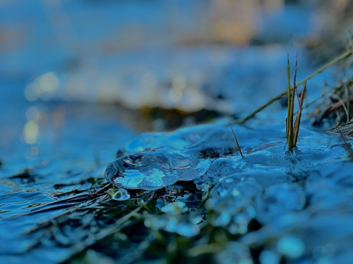 Calming visual | Photos and Images | Nature