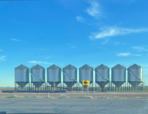 Stylo | Photos and Images