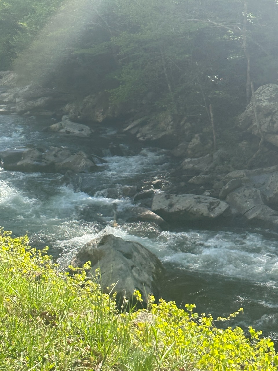 Tennessee creek | Photos and Images | Nature