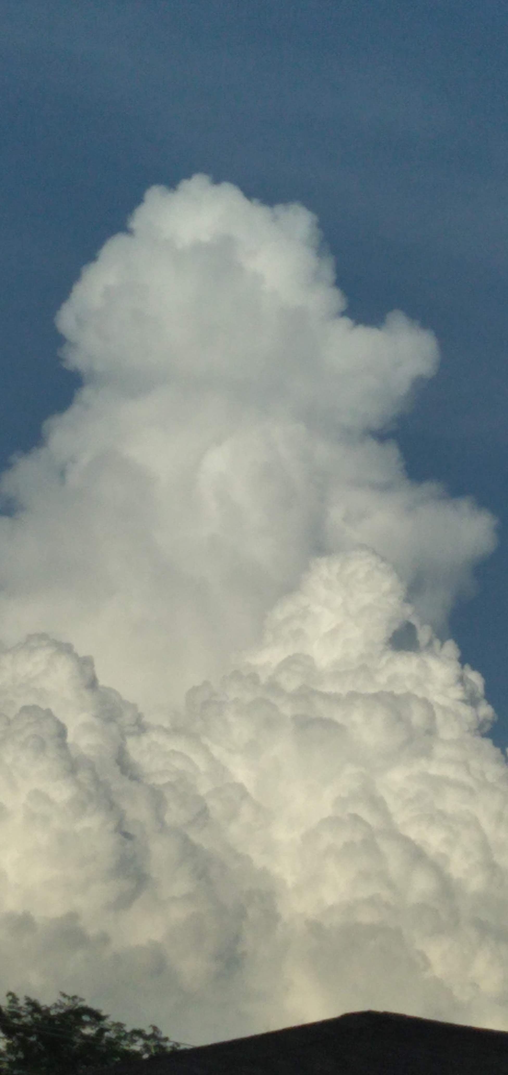 Elephant Cloud | Photos and Images | Nature