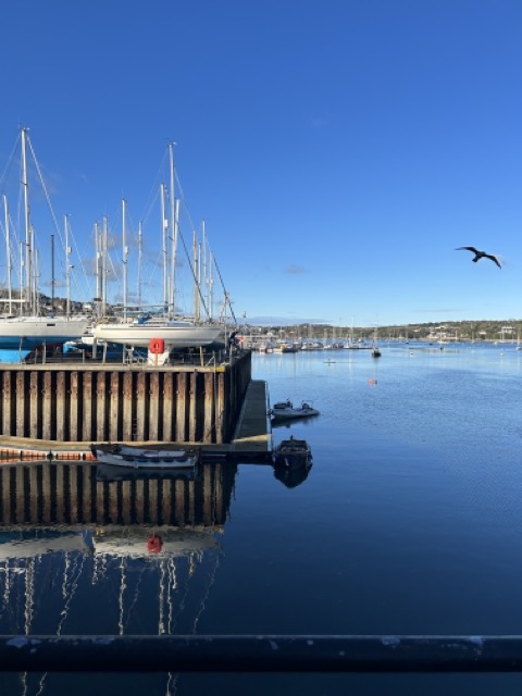 Harbour docks | Photos and Images | Nature