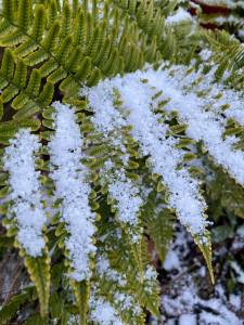 Photos and Images | Buy and Download Digital Goods