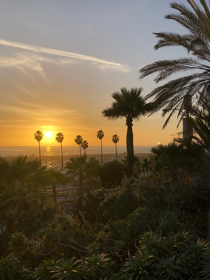 Santa Monica Pier | Photos and Images | Nature