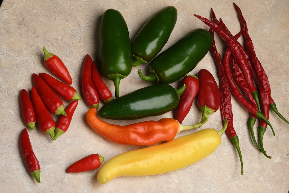 Assorted Peppers | Photos and Images | Food