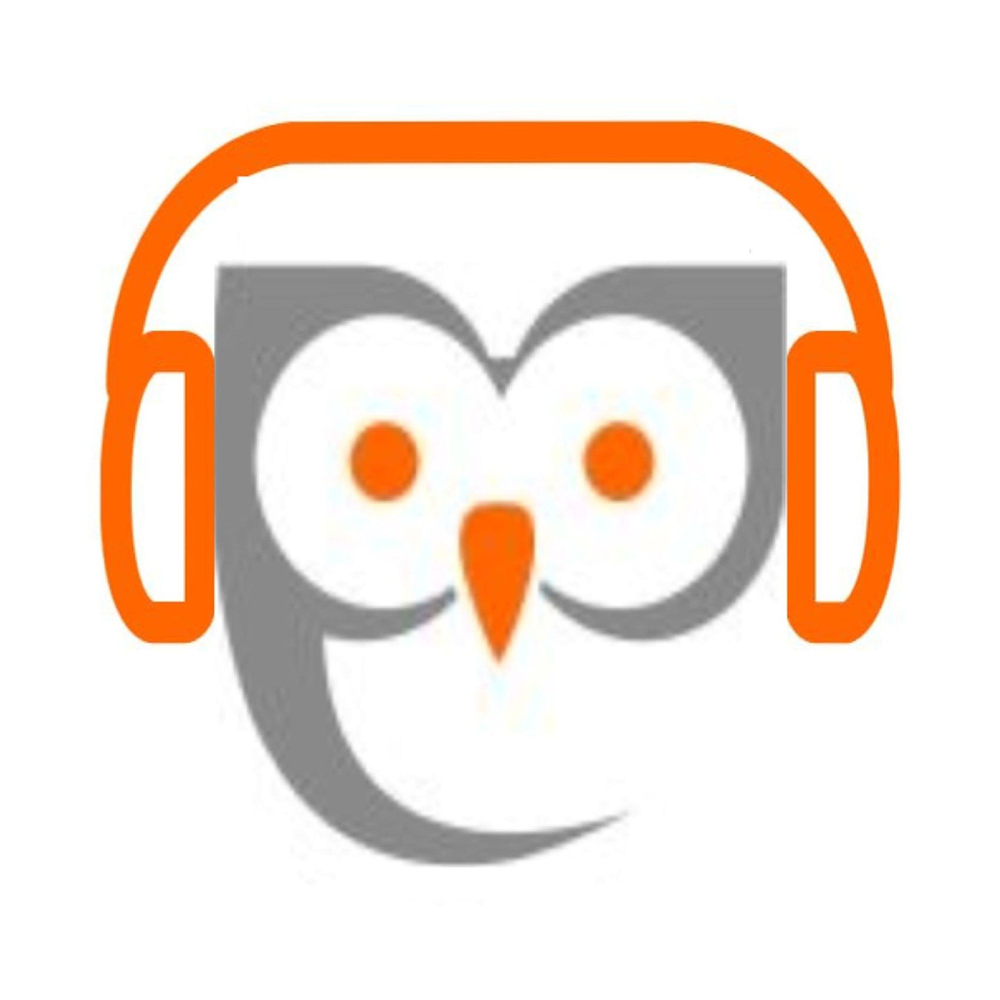 55 Zeg het in het Nederlands 55 | Audio Books