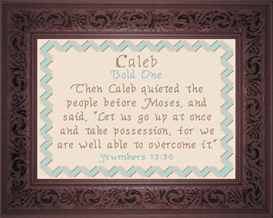 Name Blessings - Caleb | Crafting | Cross-Stitch
